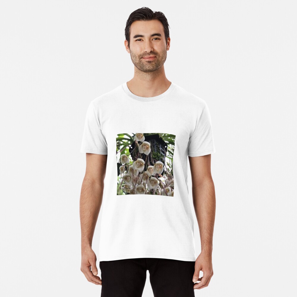 "Drakula simia" Sticker for Sale by Saiamrita123 | Redbubble