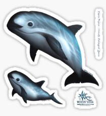 Vaquita Stickers | Redbubble