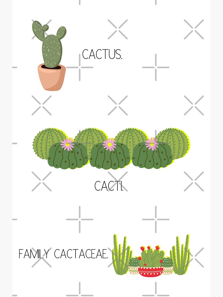 "Cactus. Cacti. Family Cactacaea" Sticker for Sale by siennatheartist ...
