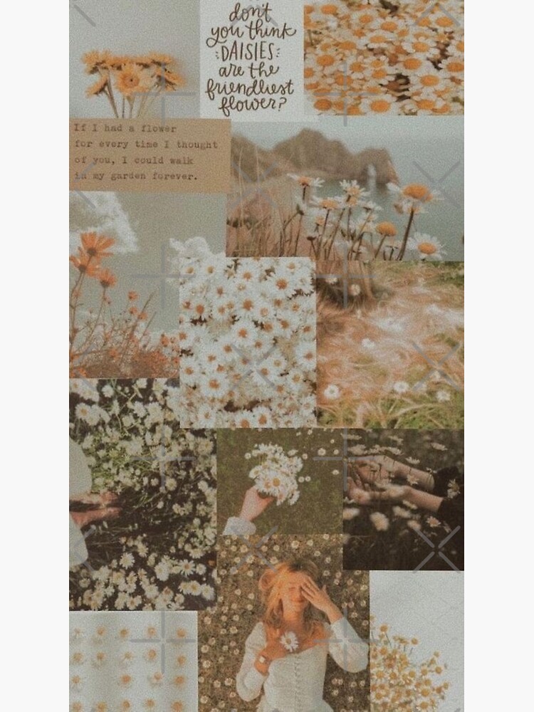 "daisy collage" Poster for Sale by charlyjovic | Redbubble