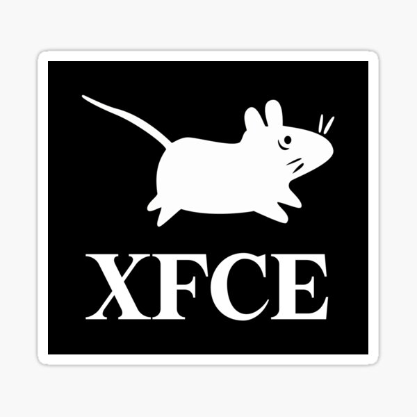 CodingStore ★★★★★ Shop | Redbubble