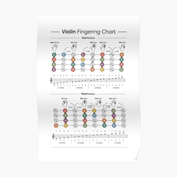 "Violin Finger Position Chart" Poster for Sale by pennyandhorse | Redbubble