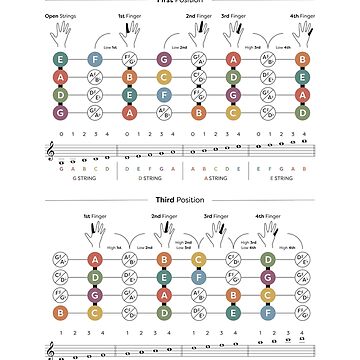 "Violin Finger Position Chart" Poster for Sale by pennyandhorse | Redbubble