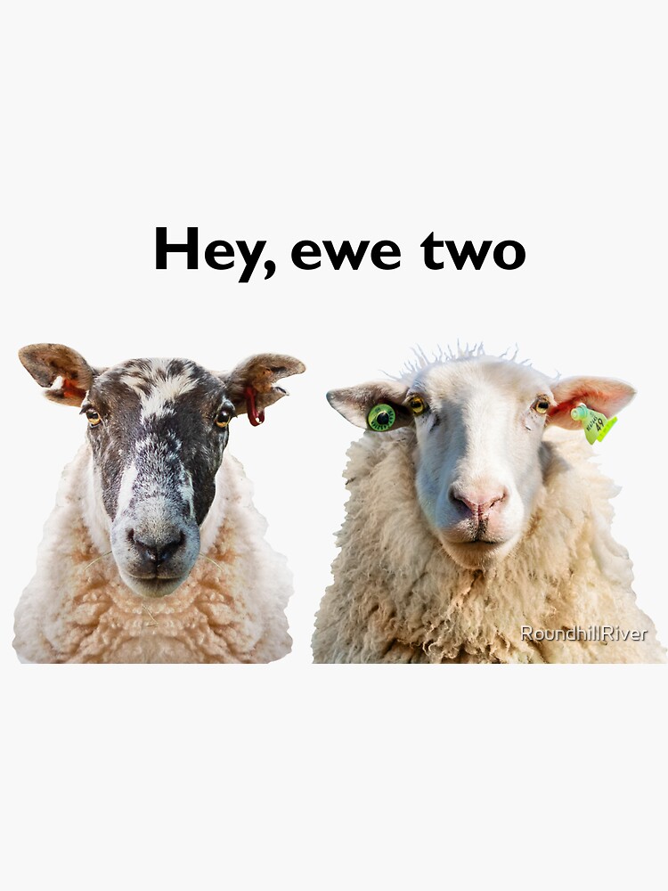 "Hey, Ewe Two. Funny Sheep Farmer Hello" Sticker for Sale by ...