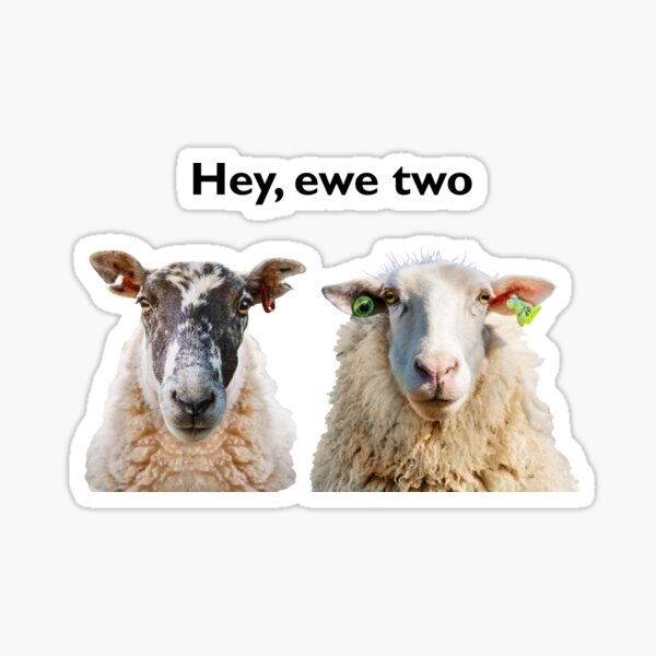 "Hey, Ewe Two. Funny Sheep Farmer Hello" Sticker for Sale by ...