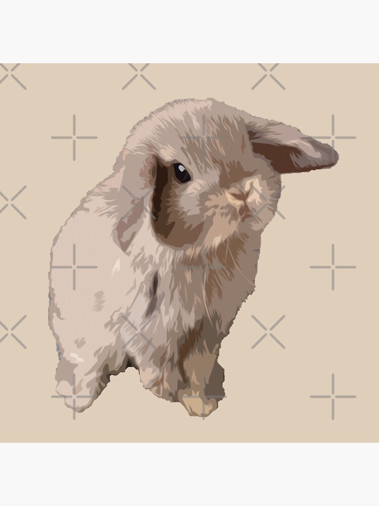 "Brown Mini Lop Rabbit American Miniature Rabbit" Poster for Sale by ...