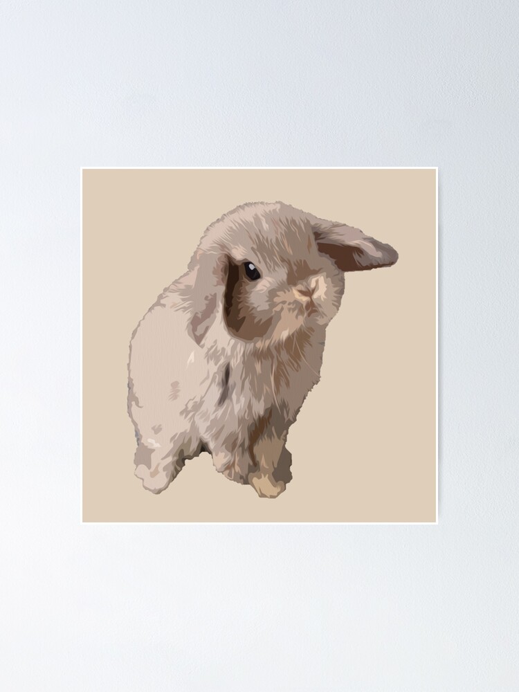 "Brown Mini Lop Rabbit American Miniature Rabbit" Poster for Sale by ...
