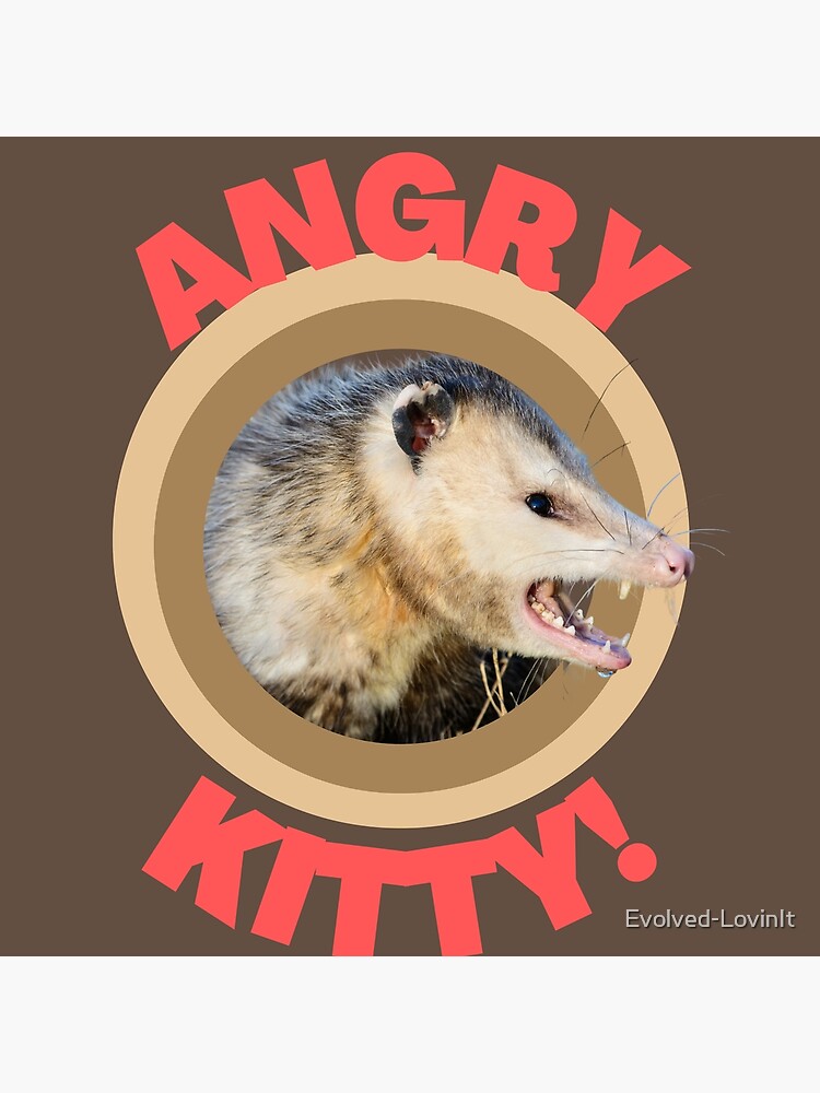 "Angry Kitty - Possum Funny Animal" Poster for Sale by Evolved-LovinIt ...