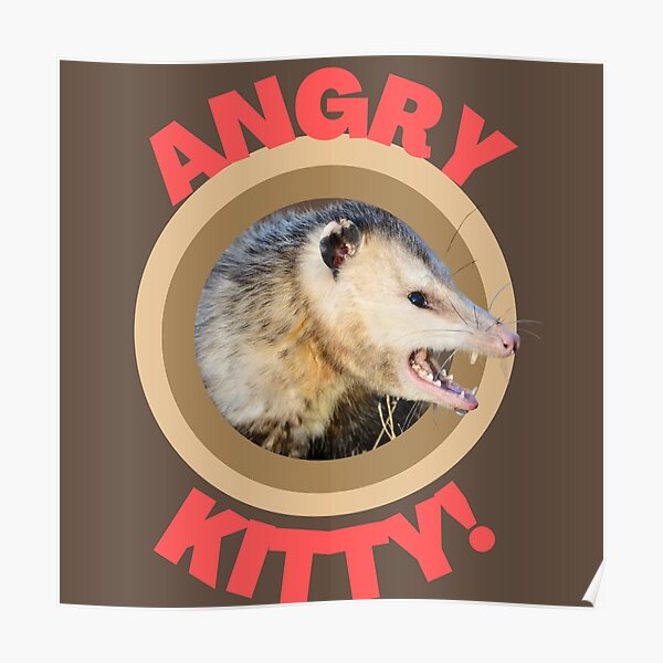"Angry Kitty - Possum Funny Animal" Poster for Sale by Evolved-LovinIt ...