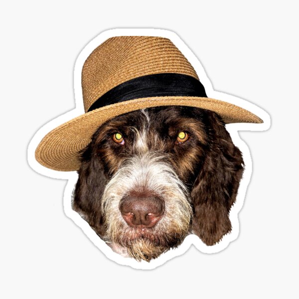 "Hat Head" Sticker for Sale by agoette | Redbubble