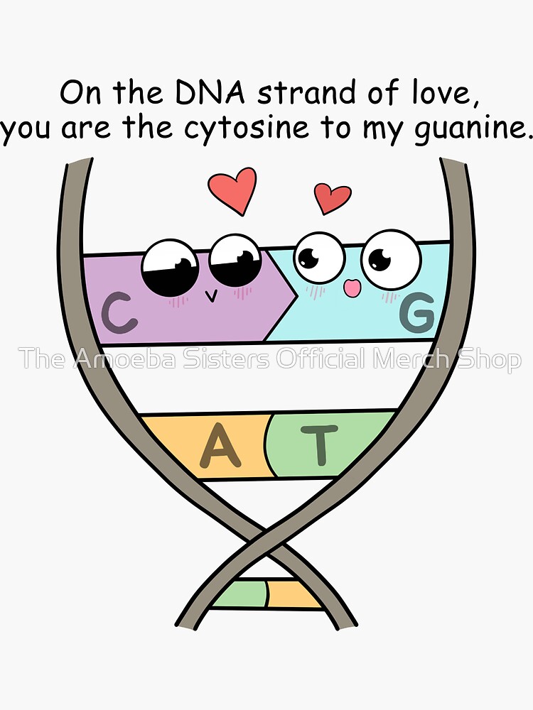 "DNA Strand of Love" Sticker for Sale by amoebasisters | Redbubble