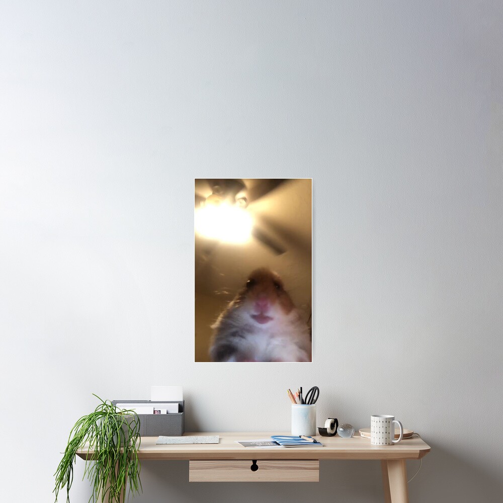 "staring hamster meme" Poster for Sale by JENNIL1 | Redbubble