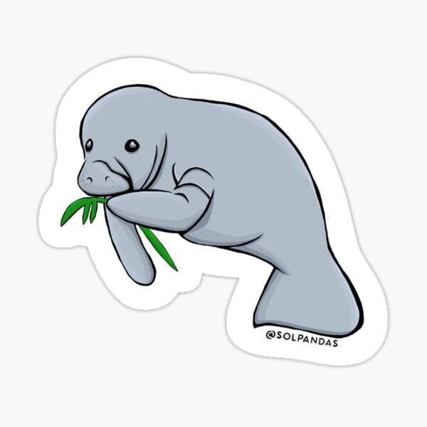 "Manatee Munchies" Sticker for Sale by SolPandas | Redbubble