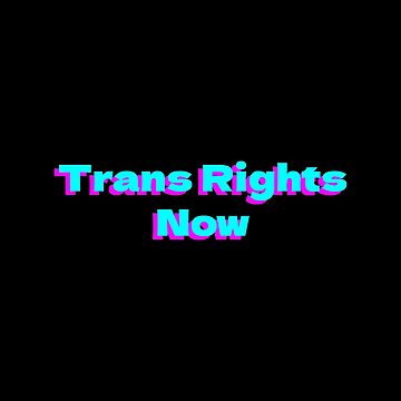 "Vaporwave Trans Rights Now" Pet Bandana for Sale by princenkings ...