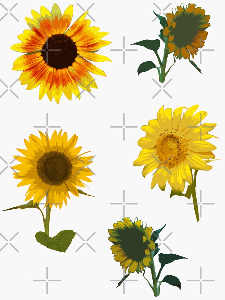 "Sunflower pretty sticker pack " Sticker for Sale by TurnTheMoon ...