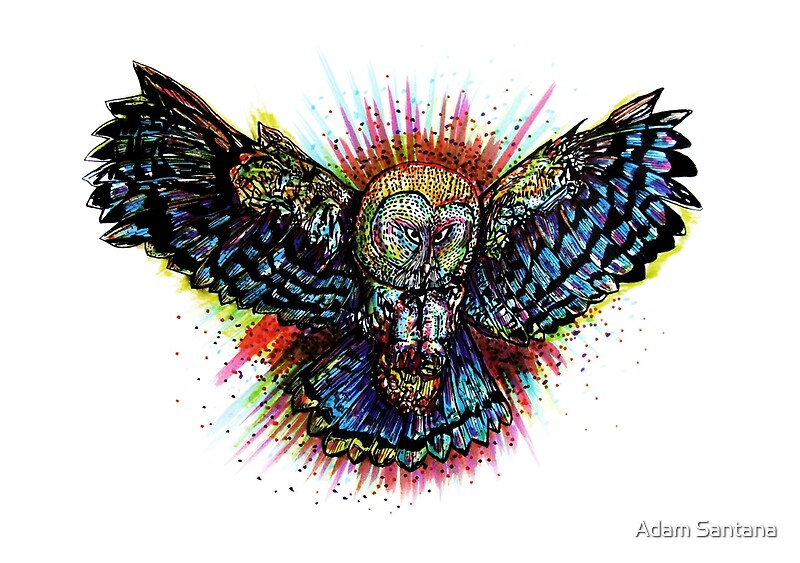 "Color Barn Owl" by Adam Santana | Redbubble