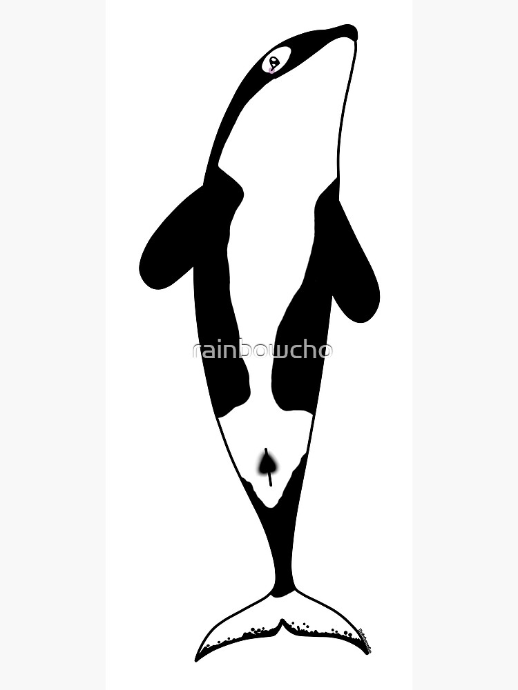 "Orca chibi" Art Print by rainbowcho | Redbubble