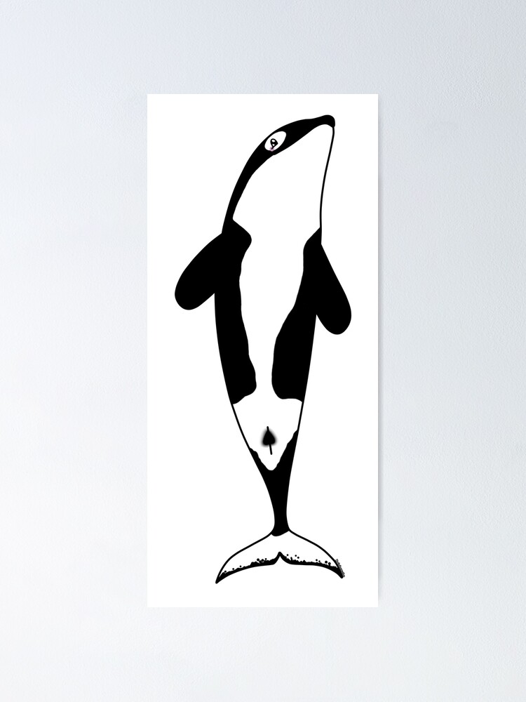 "Orca chibi" Poster for Sale by rainbowcho | Redbubble