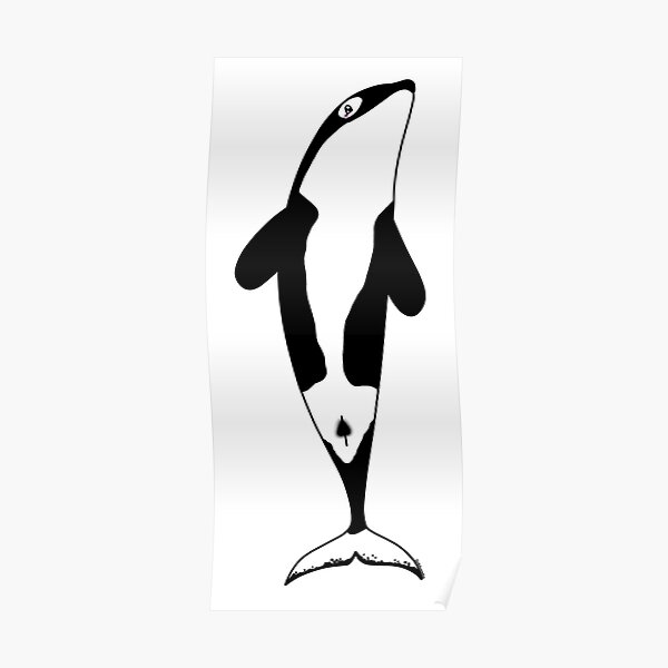 "Orca chibi" Poster for Sale by rainbowcho | Redbubble