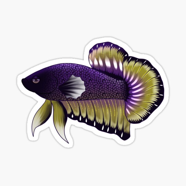 "Nonbinary Pride Betta Fish" Sticker for Sale by MakingLifeBetta ...