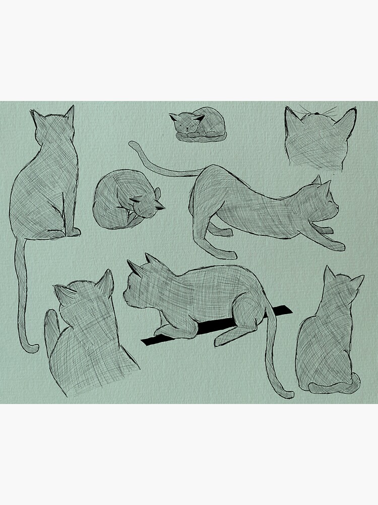 "cat study 1/?" Sticker for Sale by StrawbCowboy | Redbubble