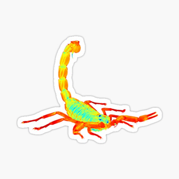 "Scorpion Heatmap" Sticker for Sale by DazArtDesigns | Redbubble
