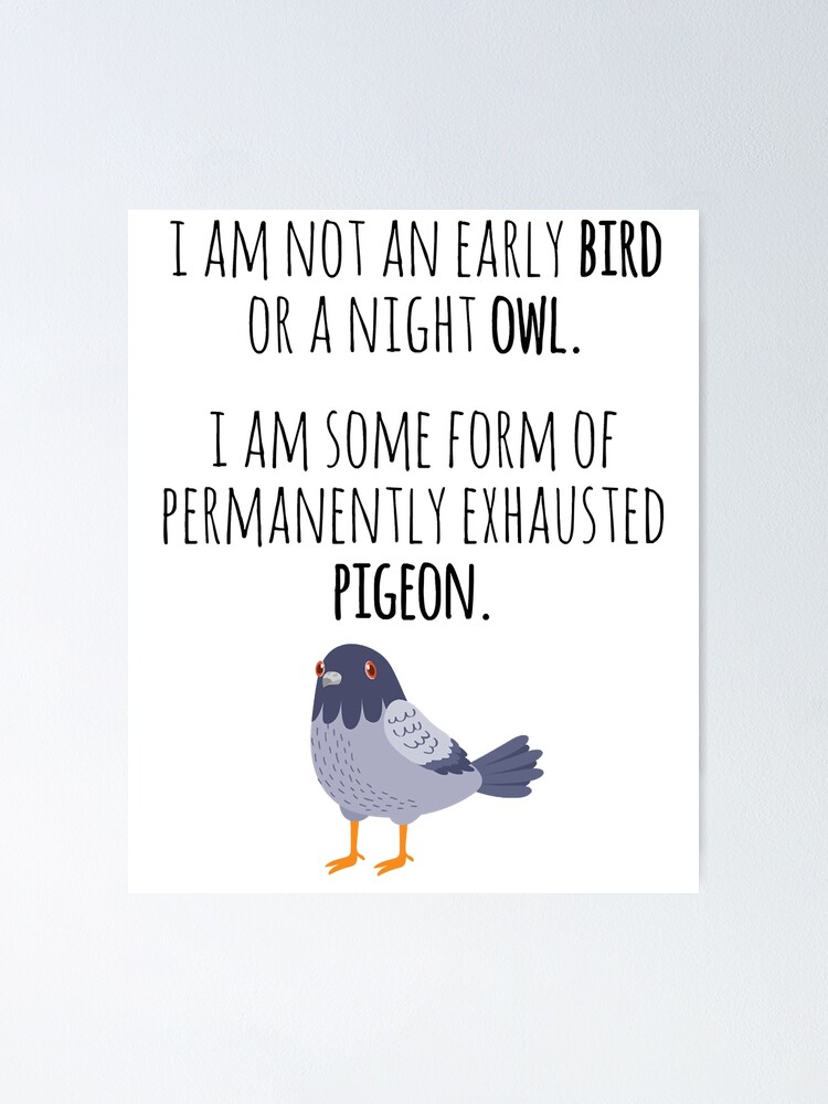 "Funny Exhausted Pigeon I'm not an early bird or a night owl I Am Some ...