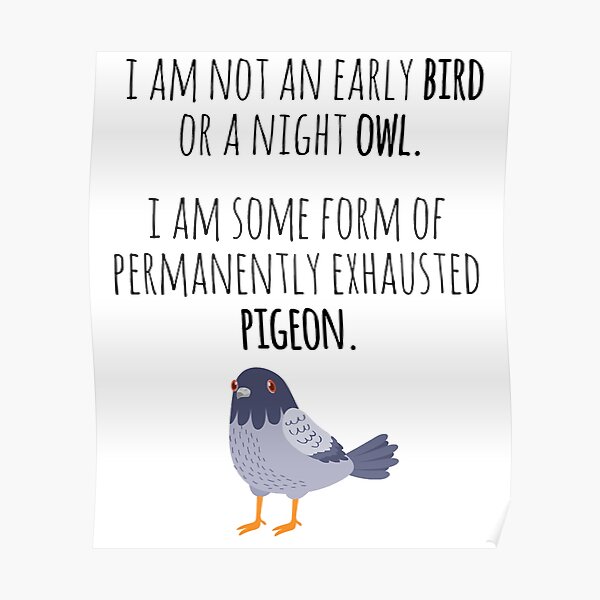 "Funny Exhausted Pigeon I'm not an early bird or a night owl I Am Some ...
