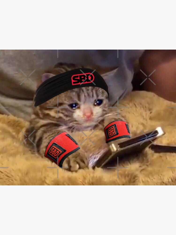 "SBD Powerlifter Cat Looking at Phone" Sticker for Sale by ionicnova ...