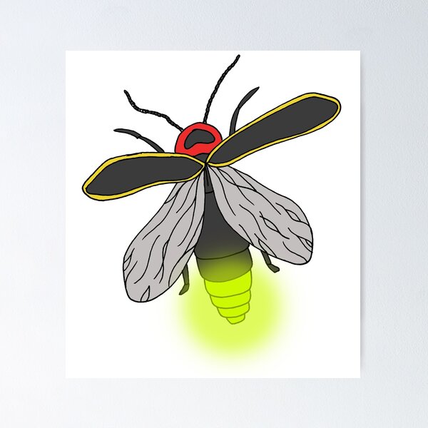 "Lightning Bug" Poster for Sale by Shaney442 | Redbubble