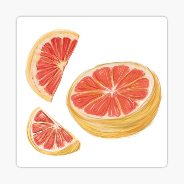 "Grapefruit" Sticker by EmilySchuyler | Redbubble