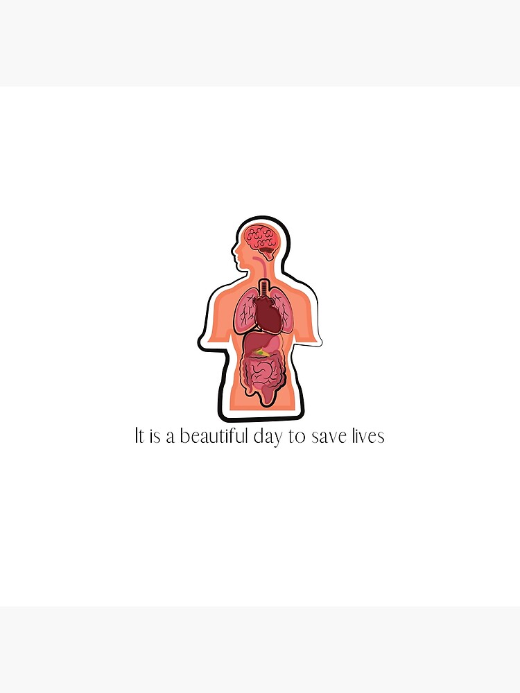 Anatomy Of The Human Body Poster For Sale By PrintableByMero Redbubble anatomy-of-the-human-body-poster-for-sale-by-printablebymero-redbubble