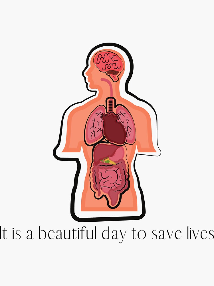 "Anatomy of the human body " Sticker for Sale by PrintableByMero ...