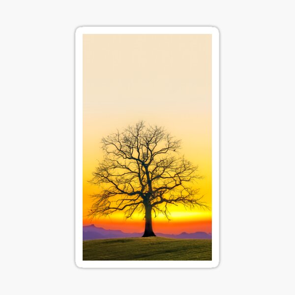 "The BlackTree" Sticker for Sale by muniralawi | Redbubble