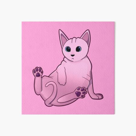 "Bingus Sphynx Cat, Praise bingus meme and Cute hairless cat" Art Board ...