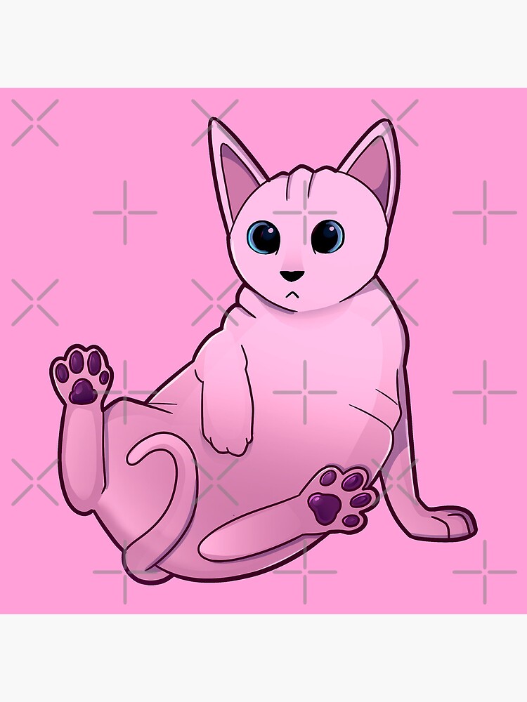 "Bingus Sphynx Cat, Praise bingus meme and Cute hairless cat" Poster ...