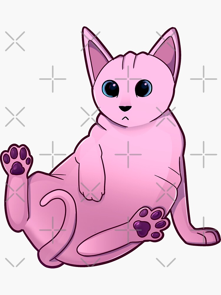 "Bingus Sphynx Cat, Praise bingus meme and Cute hairless cat" Sticker ...