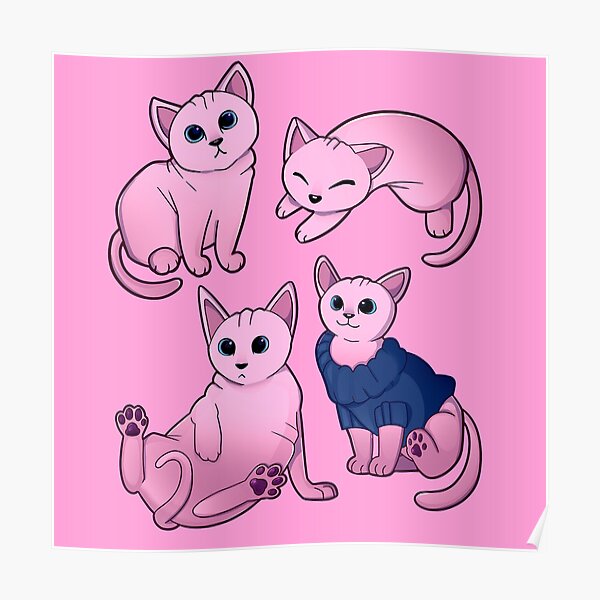 "Sphynx Cat Cute Bingus Bundle, Praise bingus meme and Cute hairless ...