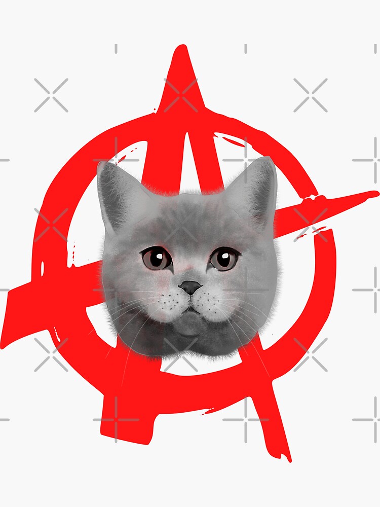 "Punk Rock Cat For Musical Heavy Metal Cat And Punk Cat As A Metal Band ...