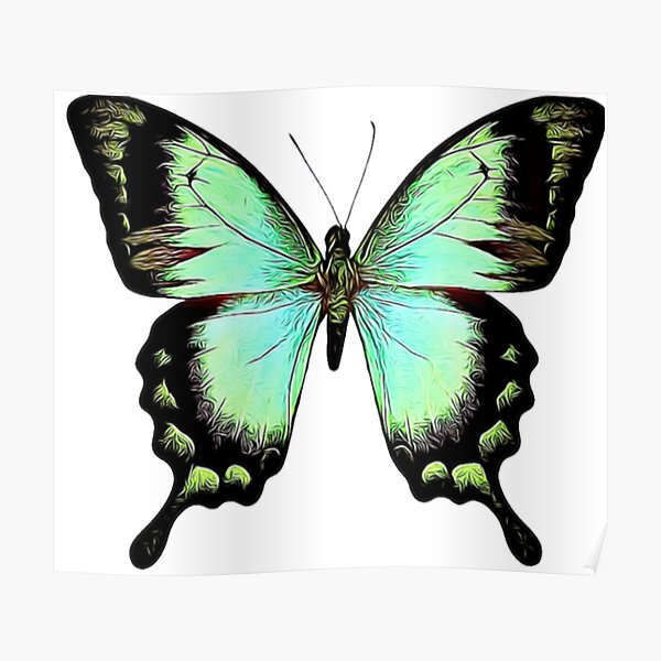 "Green Butterfly" Poster for Sale by Tarik4 | Redbubble