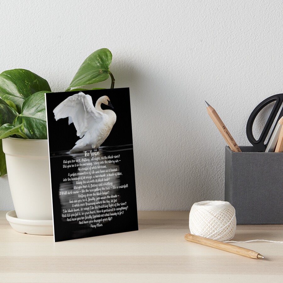"The Swan Classic Poem by Mary Oliver" Art Board Print for Sale by ...