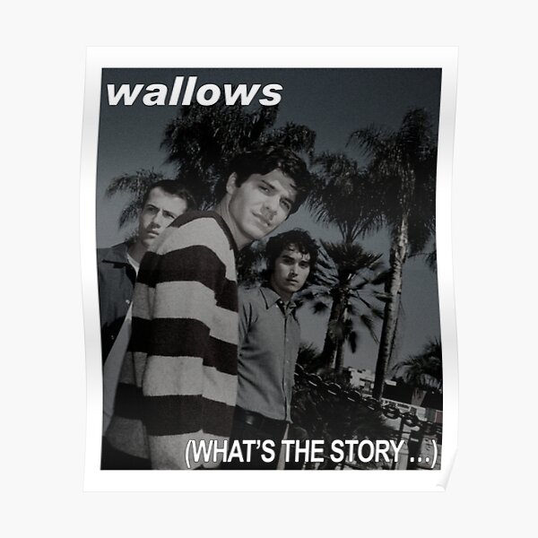 Póster «Álbum de Wallows (CUÁL ES LA HISTORIA...)» de BangferoStore20 | Redbubble