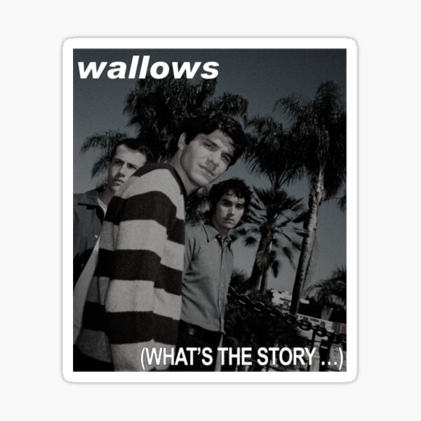 "Wallows Album ( WHAT'S THE STORY...)" Sticker by BangferoStore20 ...
