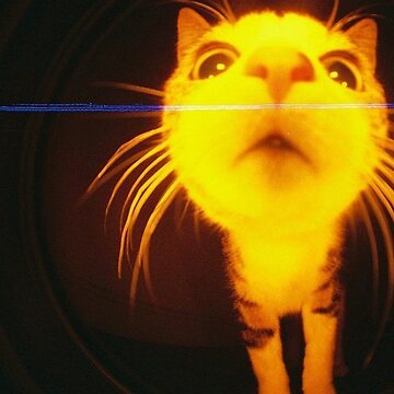 "cyber kitty" Sticker for Sale by Alexis6214 | Redbubble