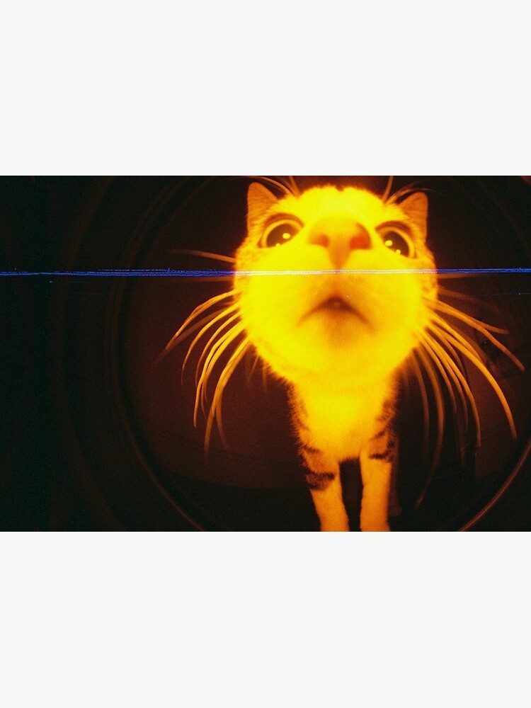 "cyber kitty" Sticker for Sale by Alexis6214 | Redbubble