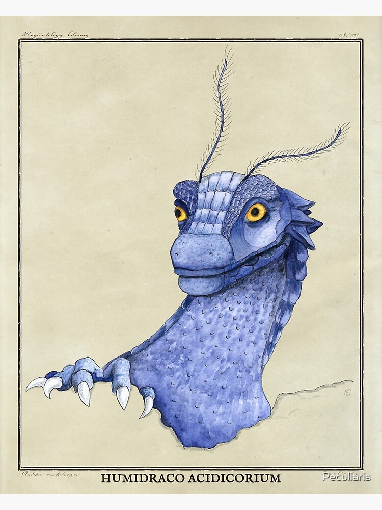 "Vintage Fantasy series 2: Acid skin Earth-dragon" Poster for Sale by ...