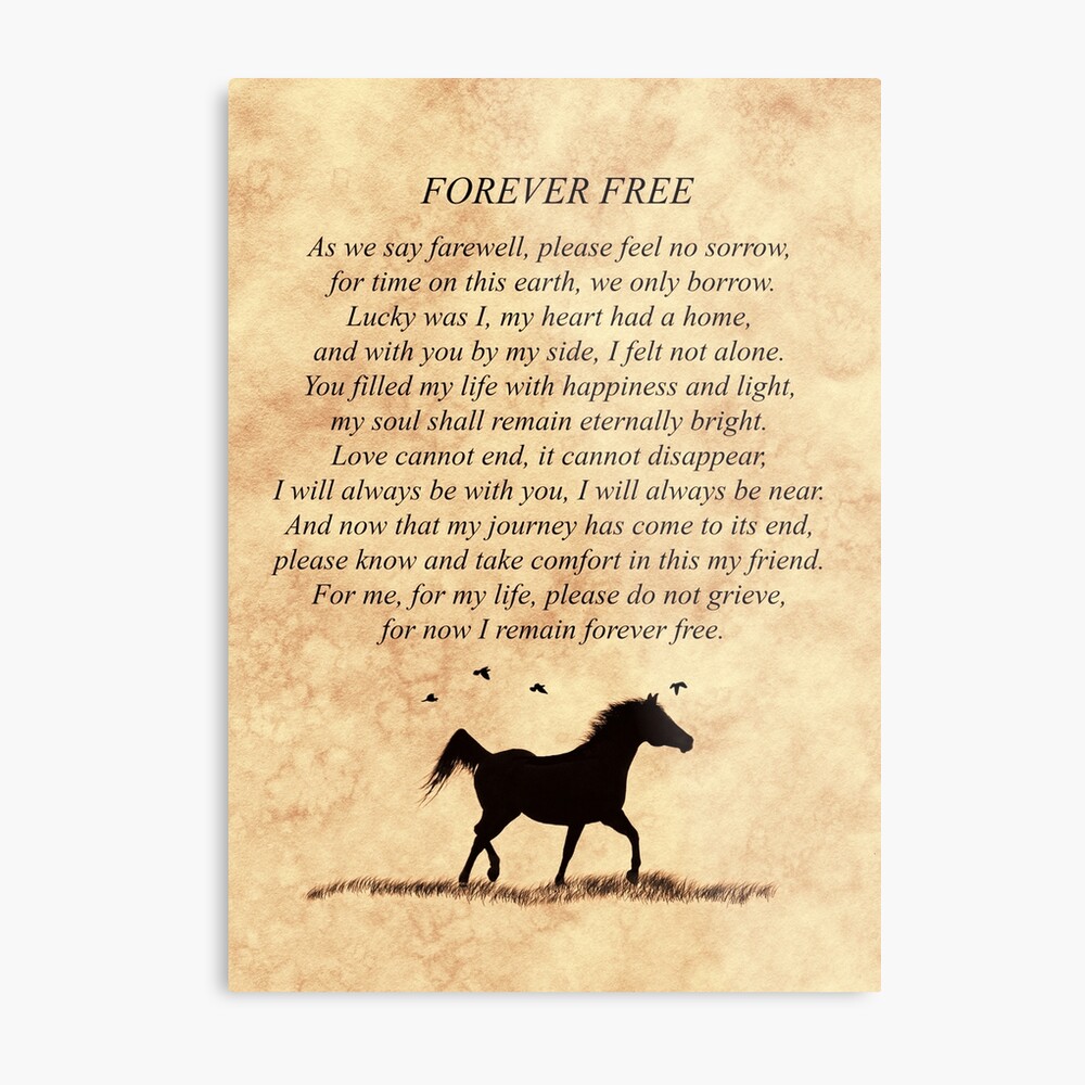 Horse Poems