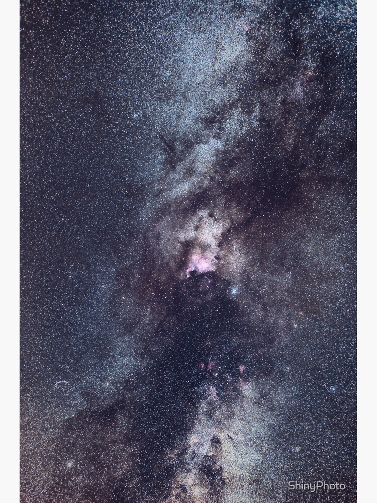 "Cygnus" Sticker for Sale by ShinyPhoto | Redbubble