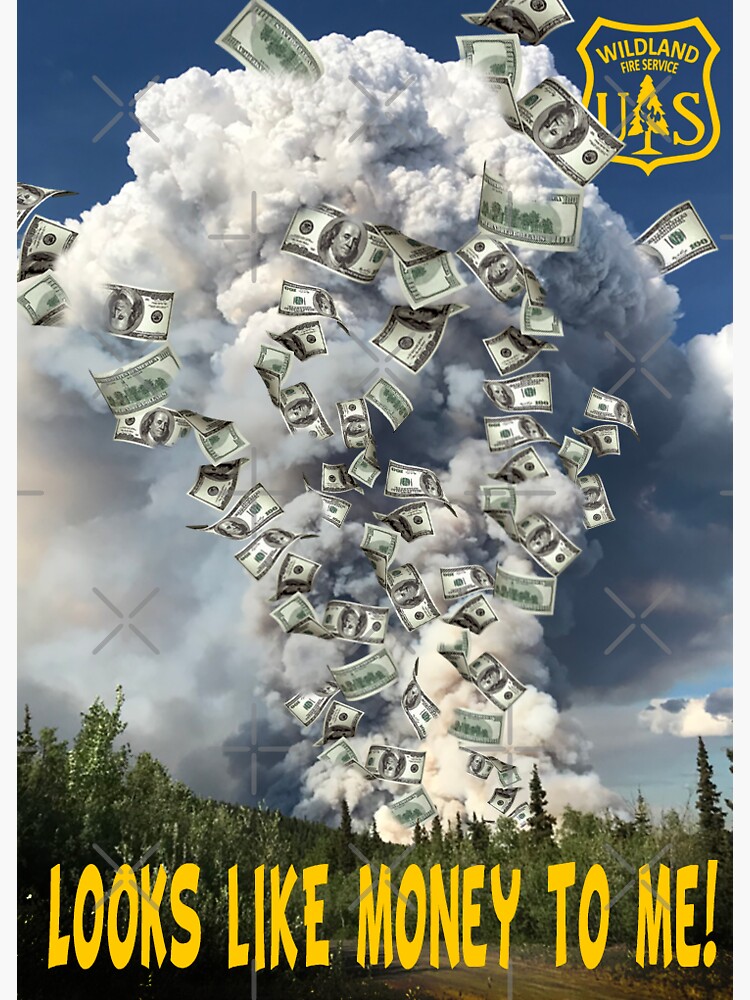 "Looks Like $$$$" Sticker for Sale by Firethreadz | Redbubble