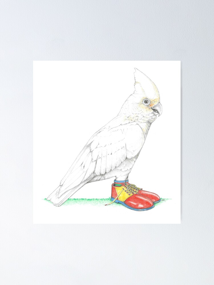 "Cockatoo in Clown Shoes" Poster for Sale by JimsBirds | Redbubble